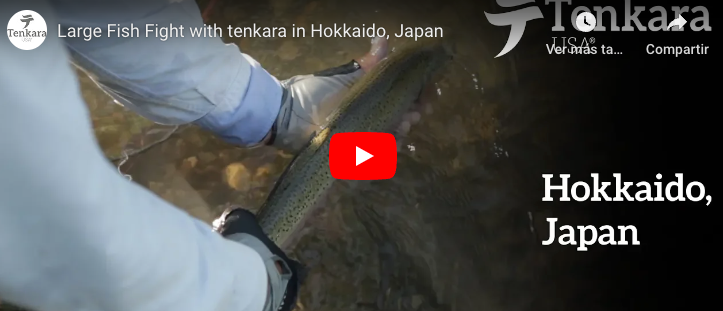 Big trout fight in Hokkaido – Tenkara USA